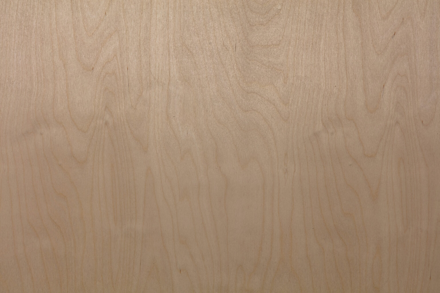 Euro Birch Panels - USply