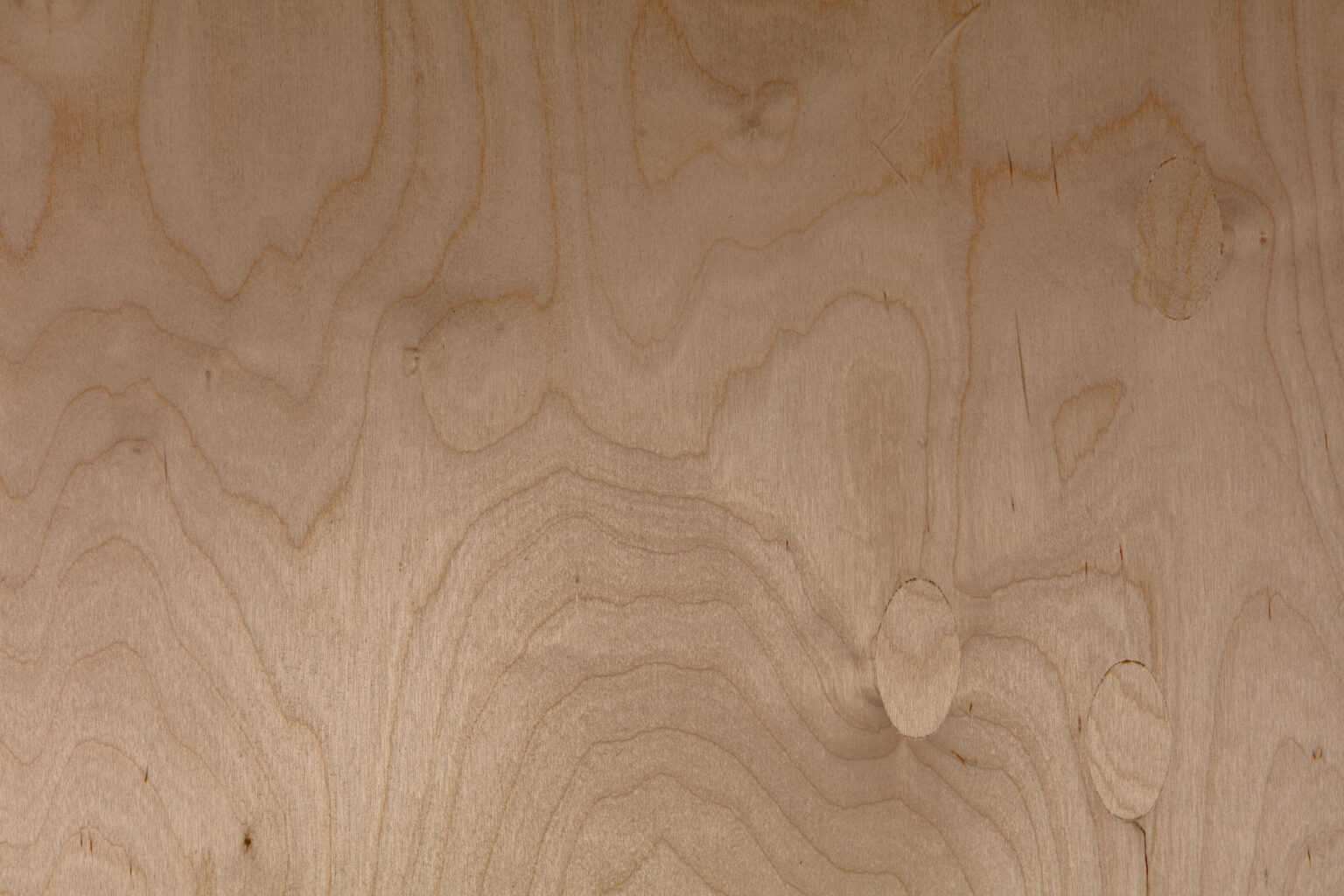 Russian Birch Plywood | USply