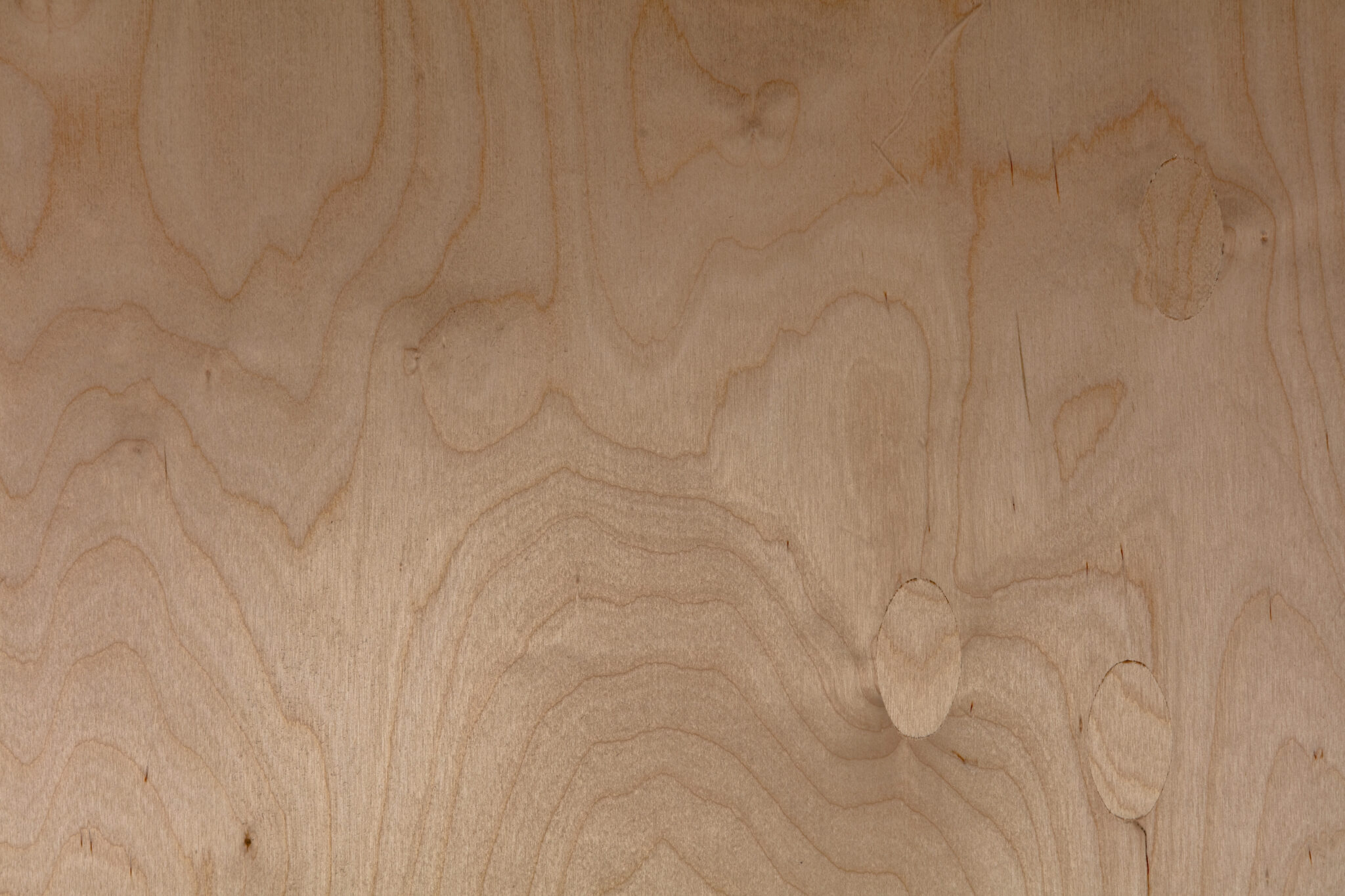 Russian Birch Plywood | USply