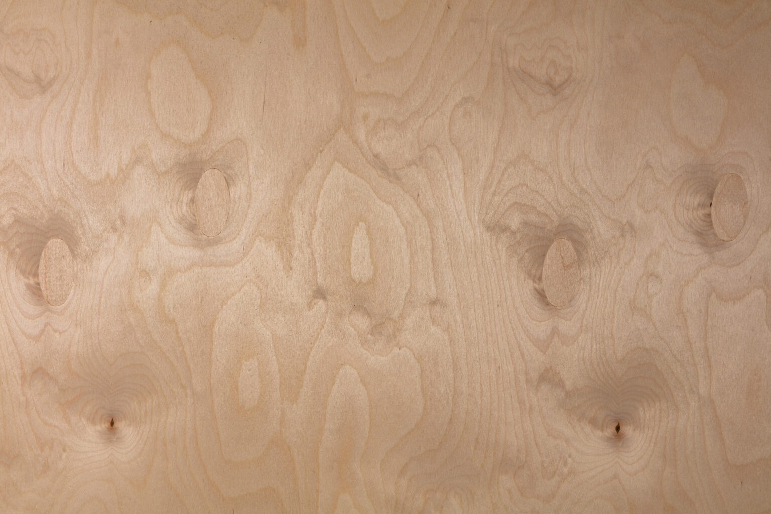 Russian Birch Plywood | USply